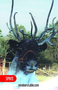 The Reindeer Fleet - ReindeerStable.com